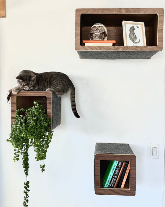 Cat Wall Terrain – Cat Matter