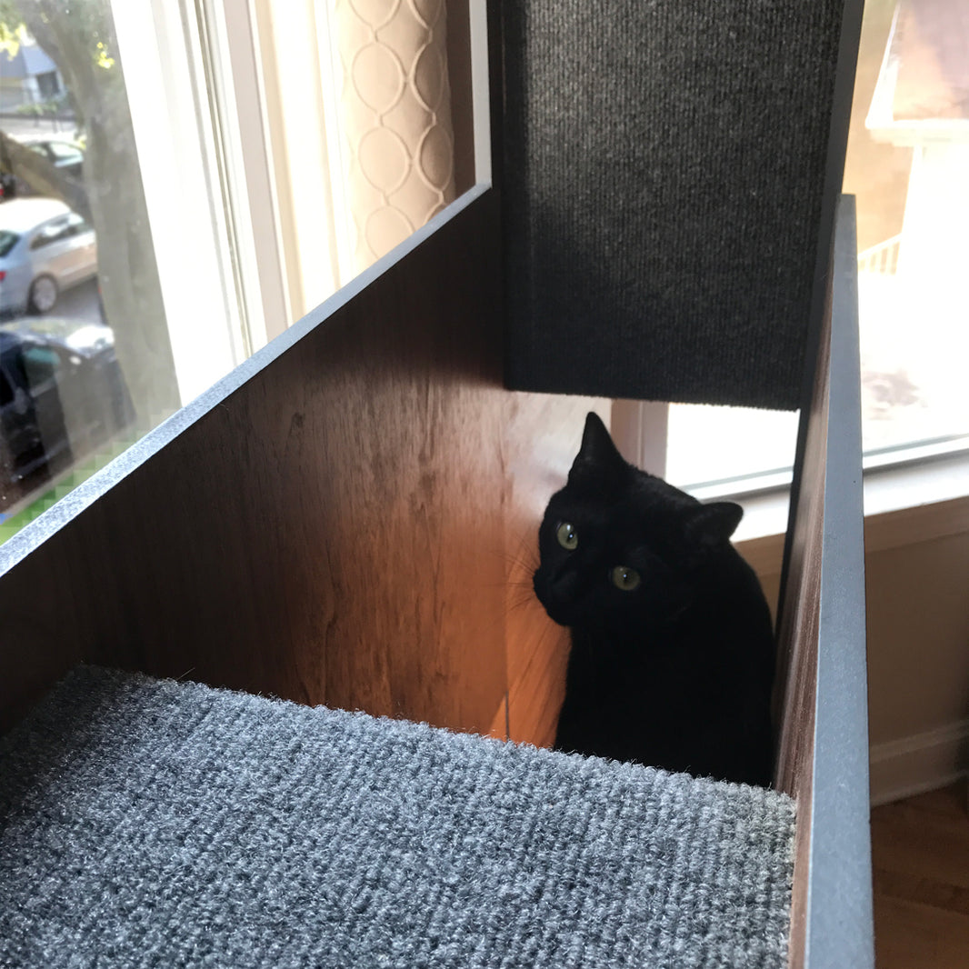 Cat Matter | Cat Case - Better than a Cat Tree